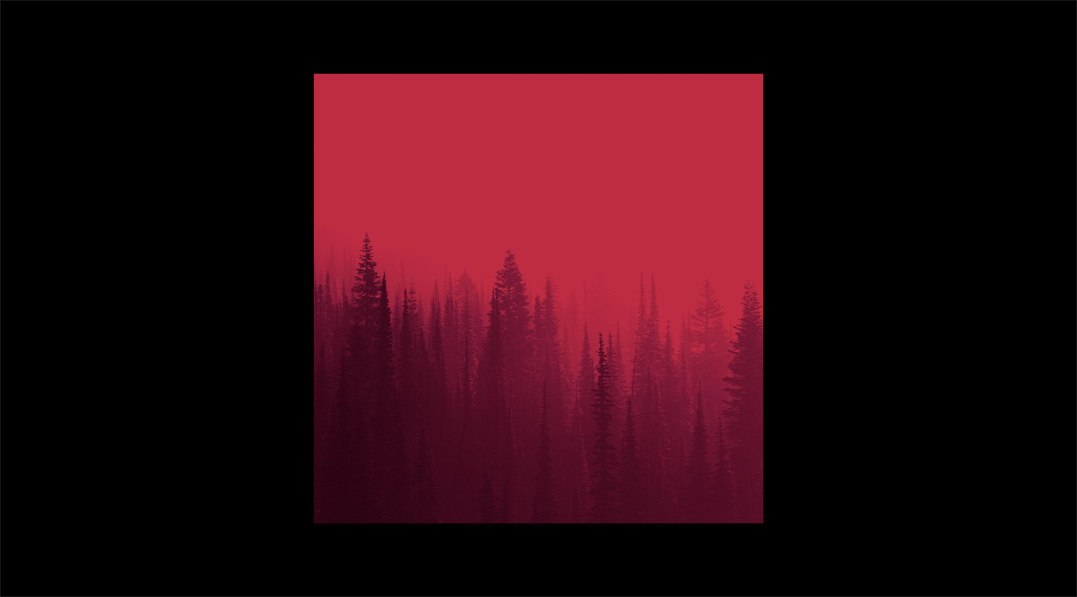 Domi Lee - "The Curve (Had Em Like)" | Midwest Culture